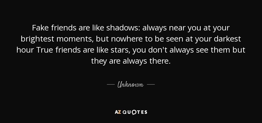 Quote: Fake friends are like shadows: always near you at your...