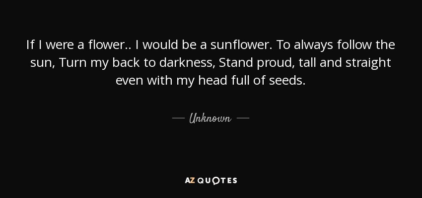 Quote: If I were a flower.. I would be a sunflower...
