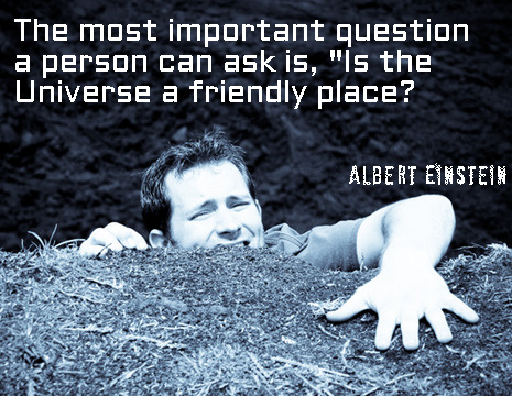 Albert Einstein picture quote: The most important question a person can ...