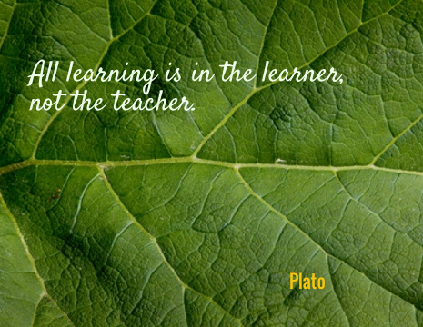 Plato picture quote: All learning is in the learner, not the teacher.