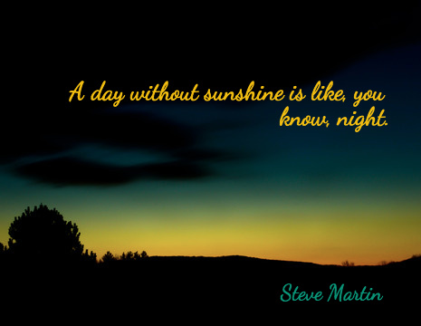 Steve Martin picture quote: A day without sunshine is like, you know ...