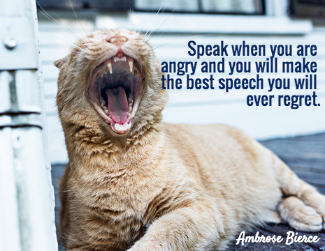 Ambrose Bierce picture quote: Speak when you are angry and you will ...