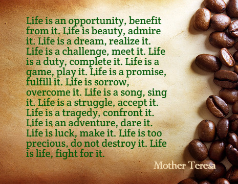 Mother Teresa picture quote: Life is an opportunity, benefit from it ...