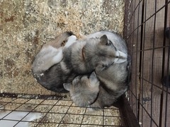 Maria Blake Quotes | A-Z Quotes